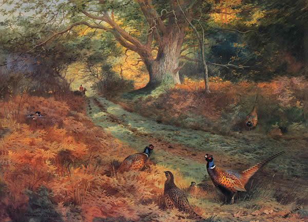 Archibald Thorburn The Bridle Path Painting | Best Paintings For Sale