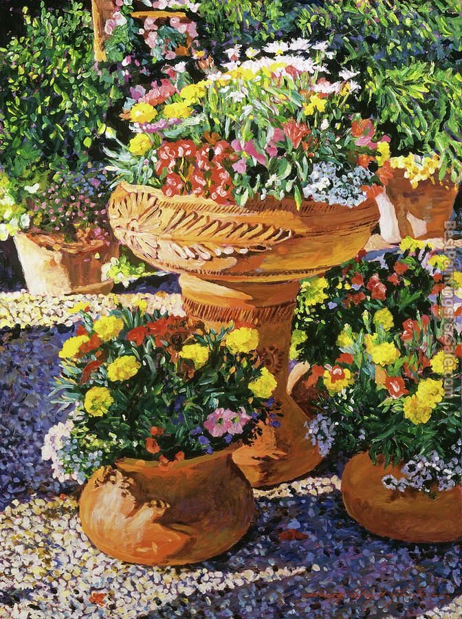 David Lloyd Glover Flower Pots in Sunlight Painting | Best Paintings ...