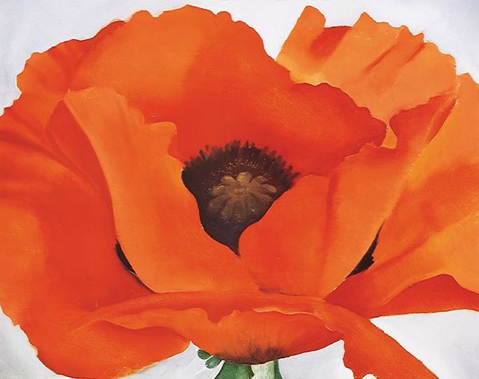 Georgia O'Keeffe Red Poppy Painting | Best Paintings For Sale