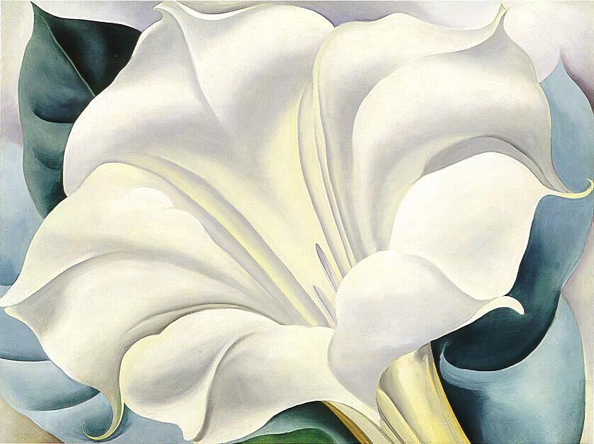 Georgia O'Keeffe White Flower Painting | Best Paintings For Sale