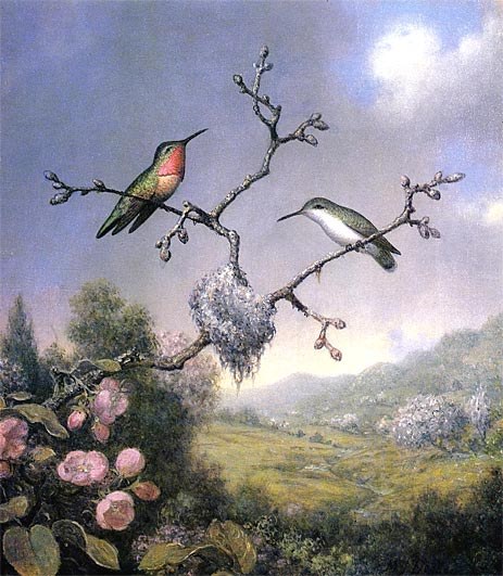Martin Johnson Heade Hummingbirds and Apple Blossoms Painting | Best ...