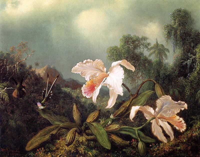 Martin Johnson Heade Jungle Orchids and Hummingbirds Painting | Best ...