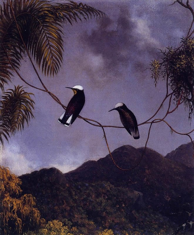 Martin Johnson Heade Newburyport Meadows Painting | Best Paintings For Sale