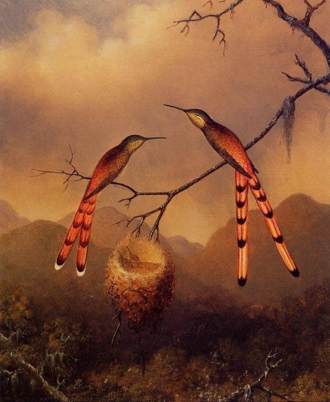 Martin Johnson Heade Two Hummingbirds with Their Young Painting | Best ...