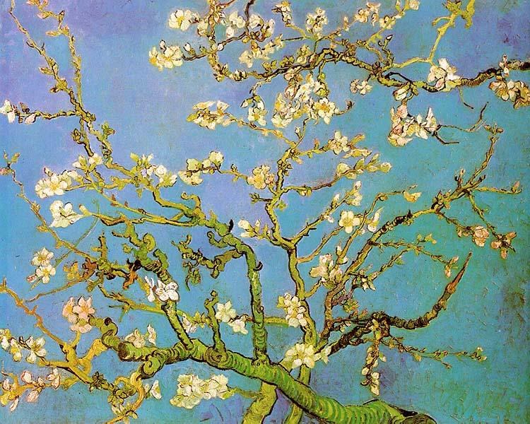 Vincent van Gogh Almond Branches in Bloom Painting | Best Paintings For ...
