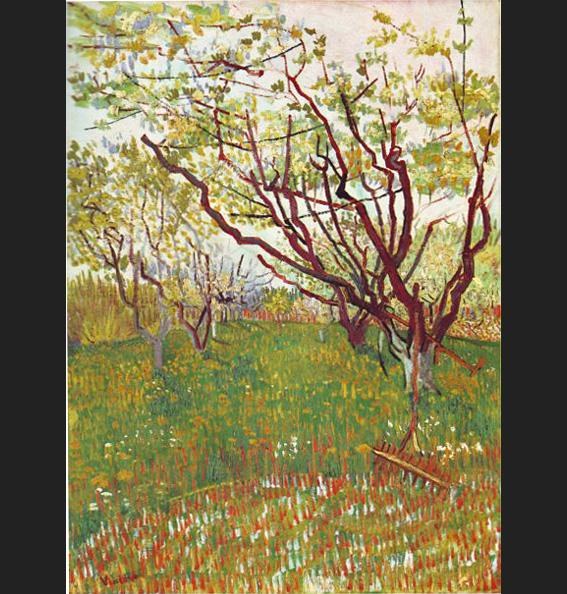 Vincent van Gogh Cherry Tree Painting | Best Paintings For Sale