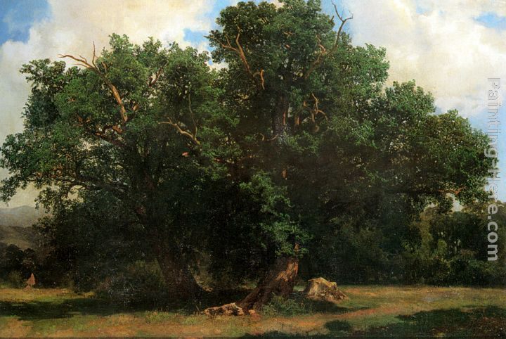 Alexandre Calame Oak Trees Painting | Best Paintings For Sale