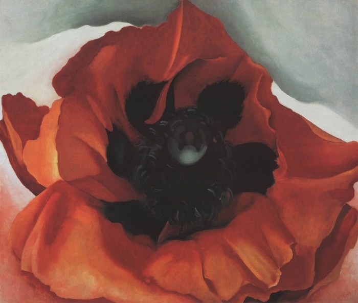 Georgia O'Keeffe Poppy Painting | Best Poppy Paintings For Sale
