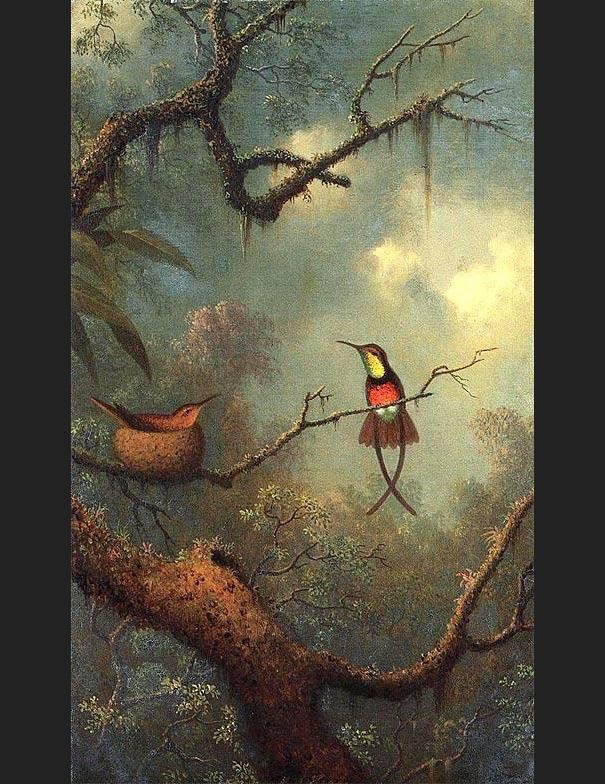 Martin Johnson Heade Hummingbirds 1870 Painting | Best Hummingbirds ...