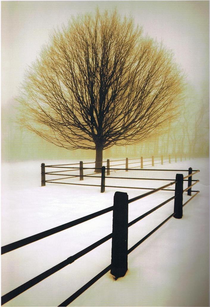 Unknown Artist David Winston Solitude Painting | Best David Winston ...